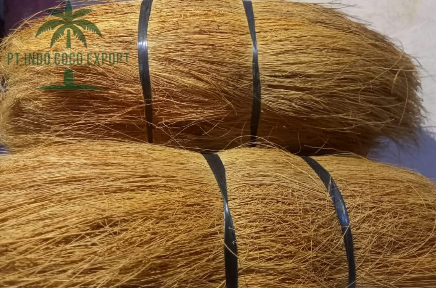 Home - PT INDO COCO EXPORT
